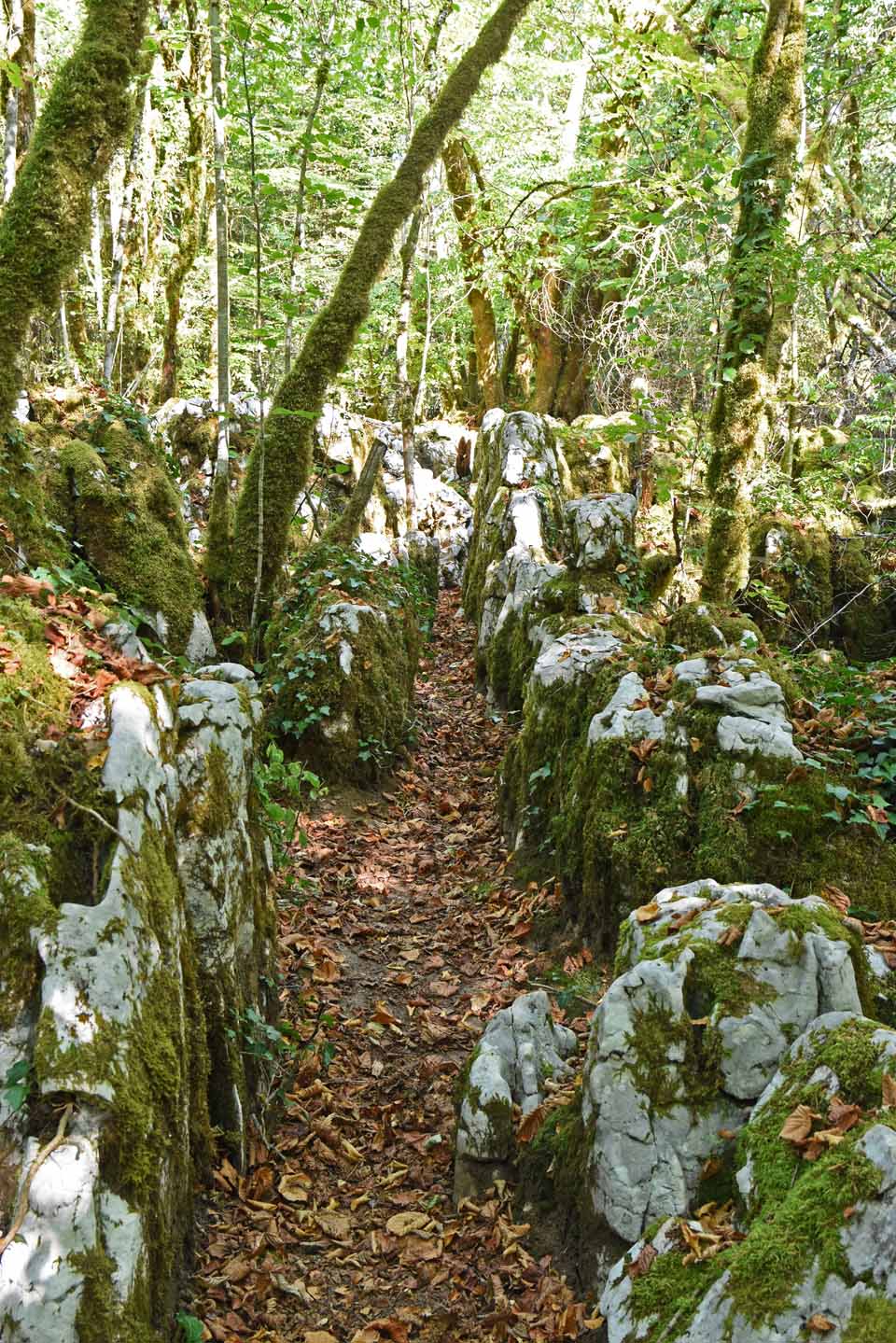 ViaCluny.fr - Découvrir le sentier karstique